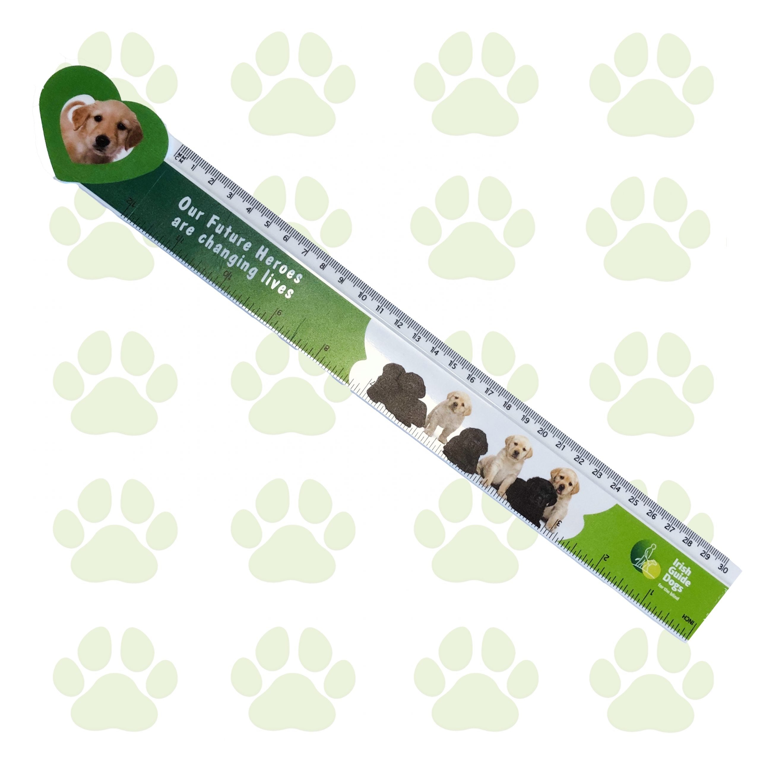 School Ruler – Irish Guide Dogs for the Blind